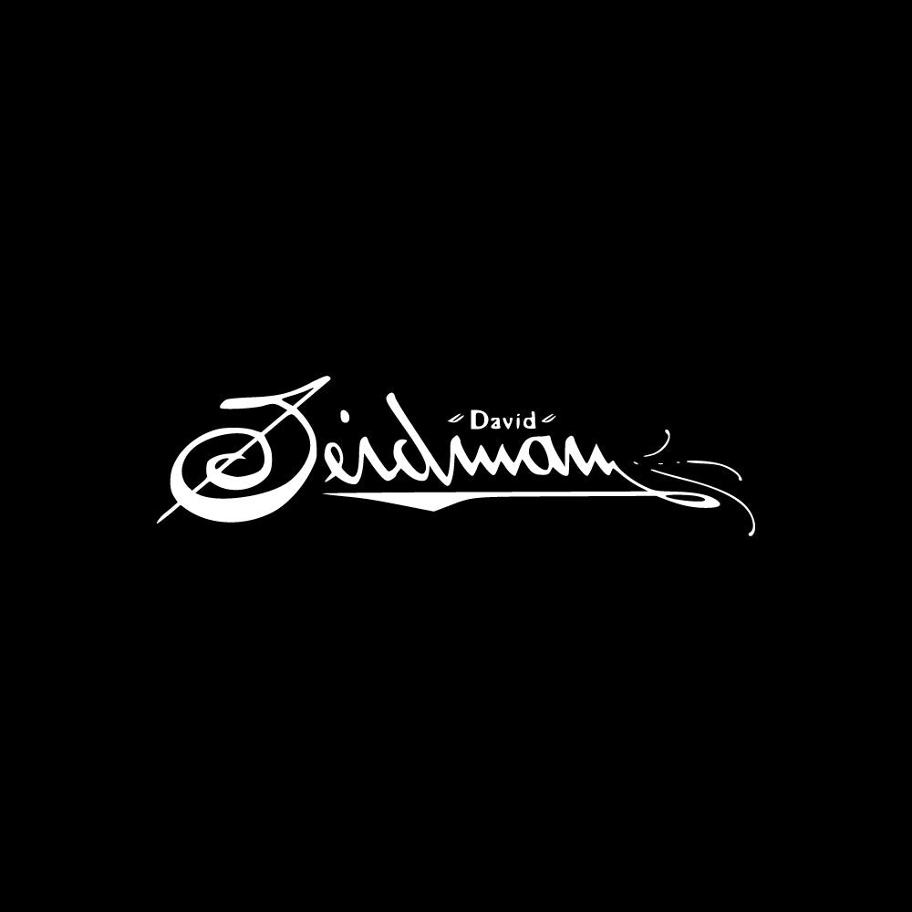 David Seidman – Cellar Door Gallery